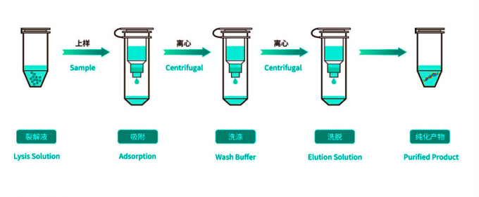 Isolation Nucleic Acid Extraction Kit Silica Based Spin Column