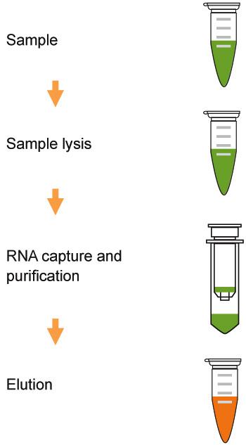 Isolation Nucleic Acid Extraction Kit Silica Based Spin Column