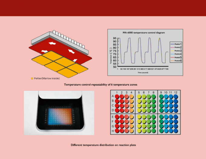 MSDS Nucleic Acid Extraction Machine , MA6000 Real time Quantitative ...